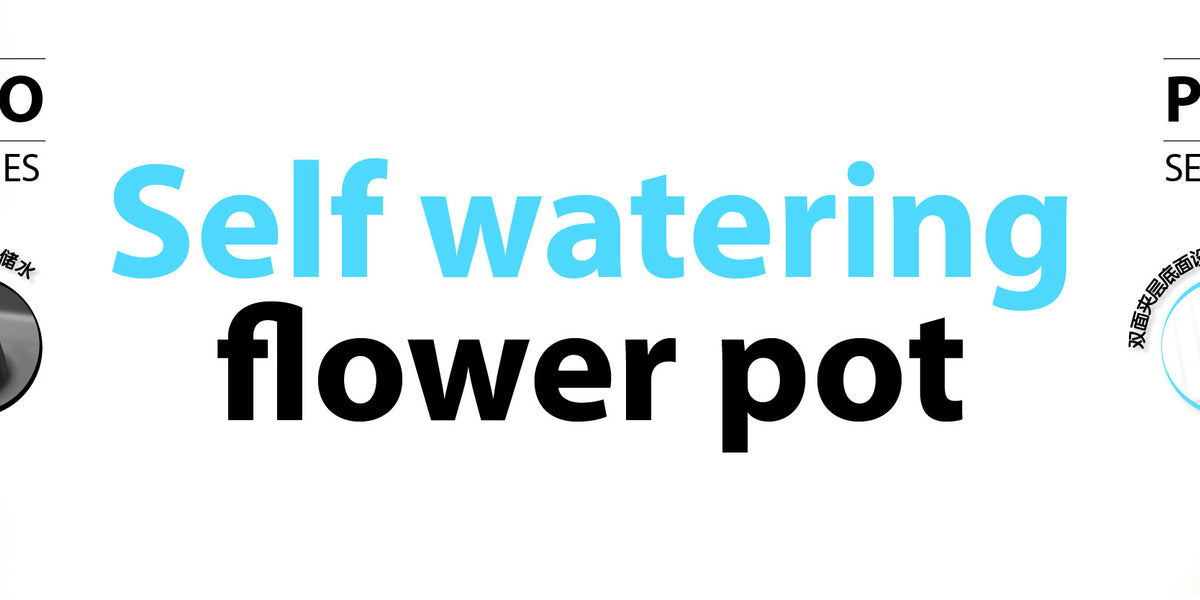 Pasu Self Watering | Self Watering Plant Pot | Beli Pasu Self Watering ...