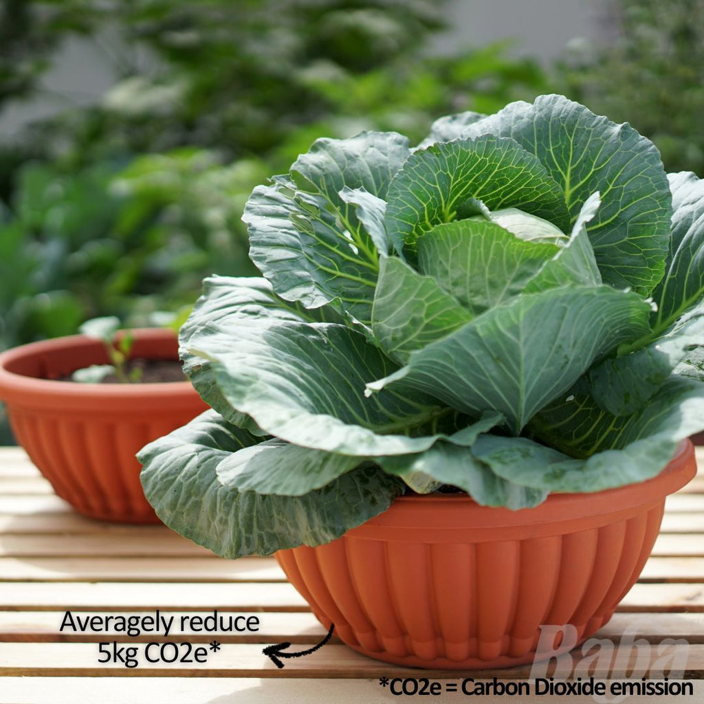 Beli Pasu Bunga Murah Online | Pembekal Pasu Bunga Murah | Babashop ...