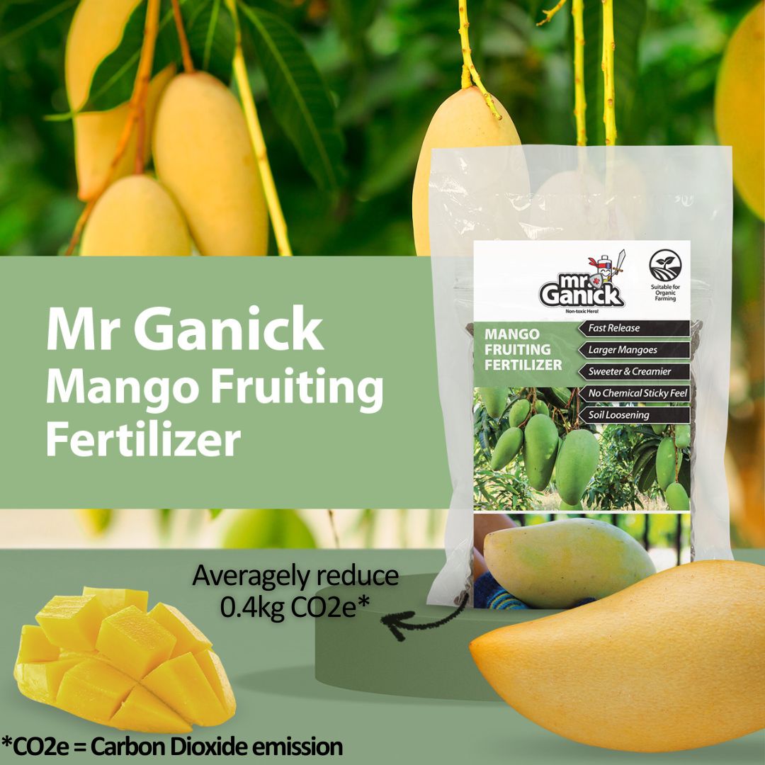 Mr Ganick Mango Fruiting Fertilizer (400gm) — Baba E Shop