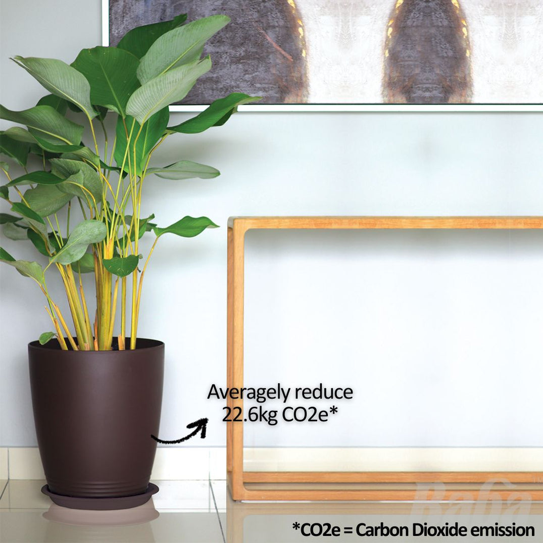 Beli Pasu Bunga Murah Online | Pembekal Pasu Bunga Murah | Babashop ...