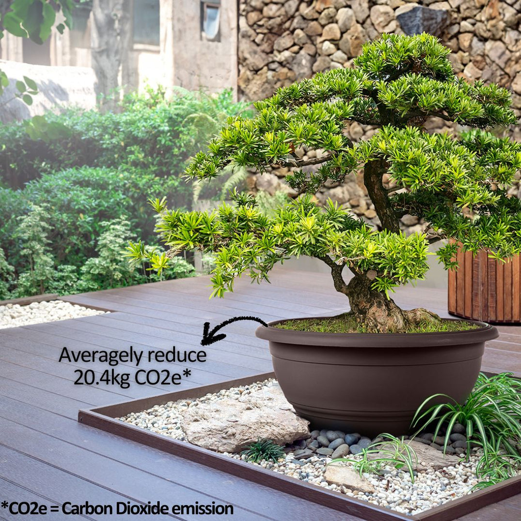 Beli Pasu Bunga Murah Online | Pembekal Pasu Bunga Murah | Babashop ...