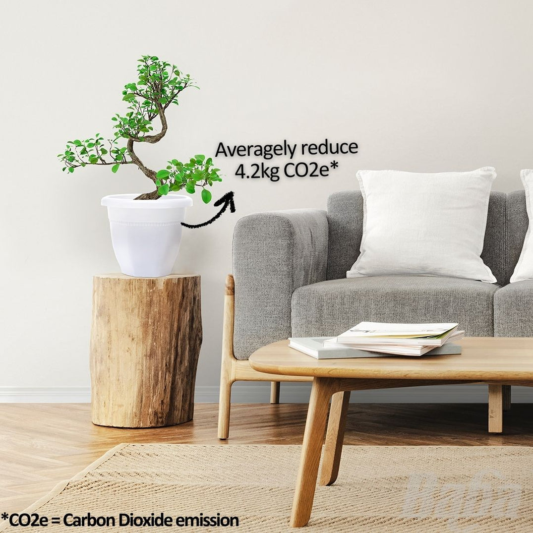 Beli Pasu Bunga Murah Online | Pembekal Pasu Bunga Murah | Babashop ...