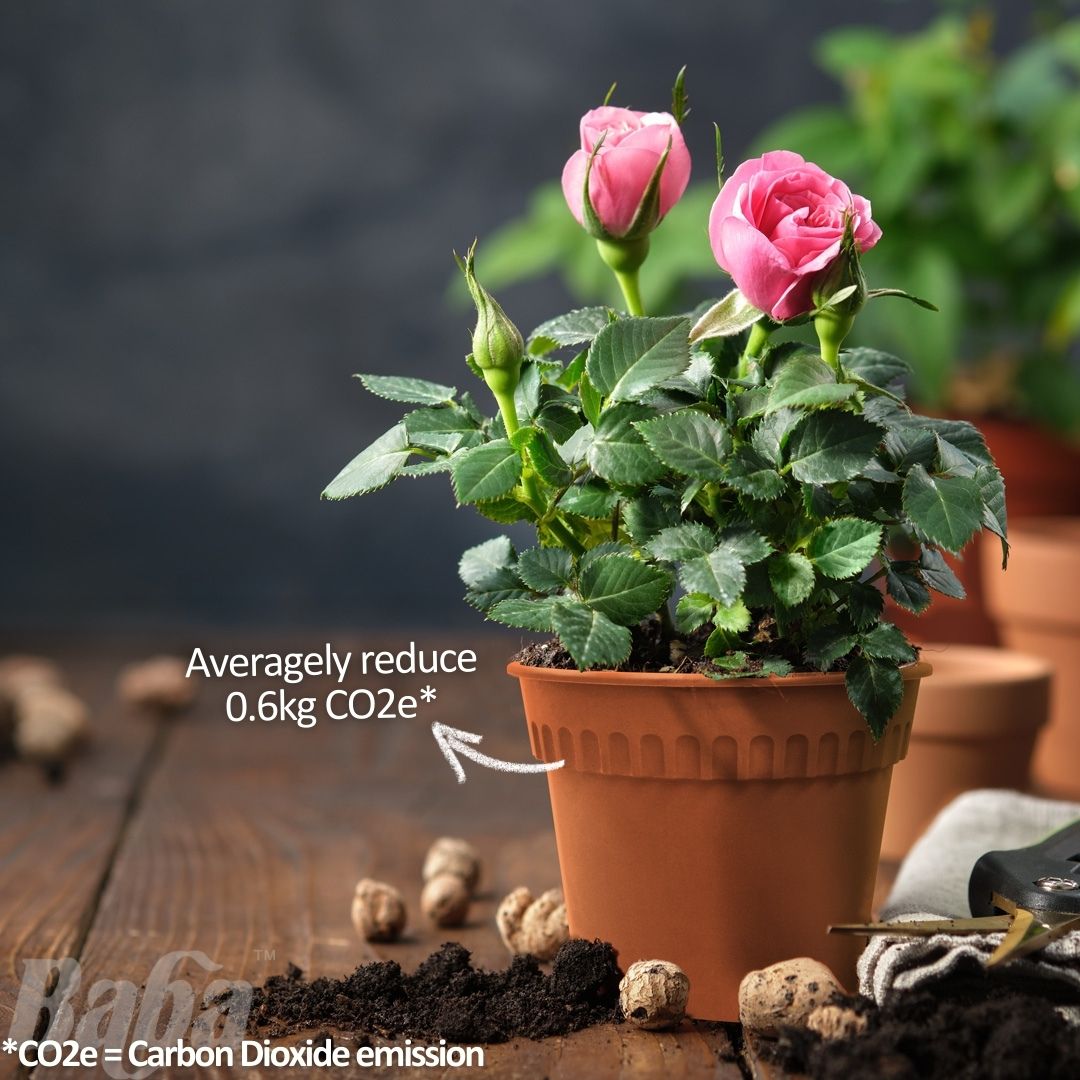 Baba Biodegradable RD Series Flower Pot【RD-120/ RD-150/ RD-170】 — Baba ...