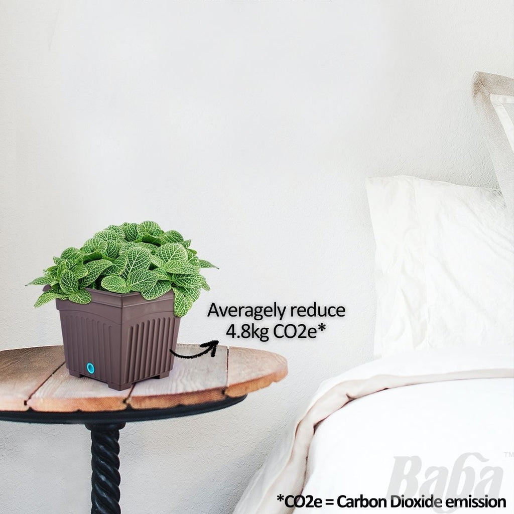 Beli Pasu Bunga Murah Online | Pembekal Pasu Bunga Murah | Babashop ...