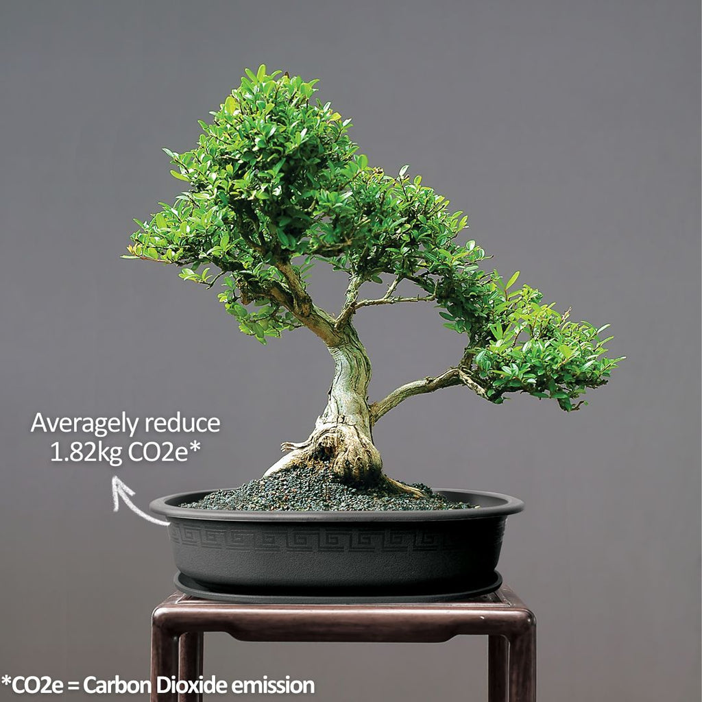 Beli Pasu Bunga Murah Online | Pembekal Pasu Bunga Murah | Babashop ...